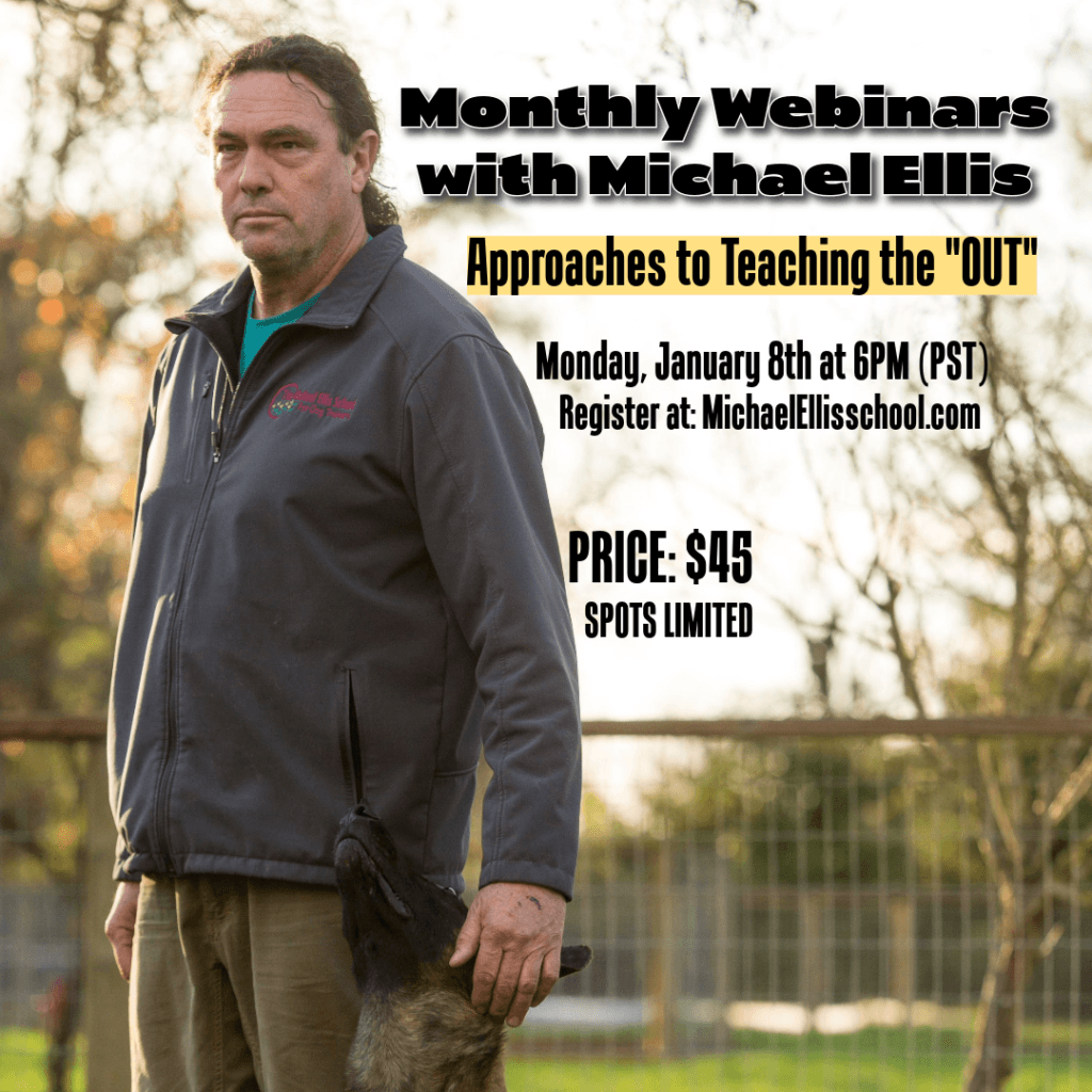 Webinars - Michael Ellis School
