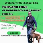 Webinars - Michael Ellis School