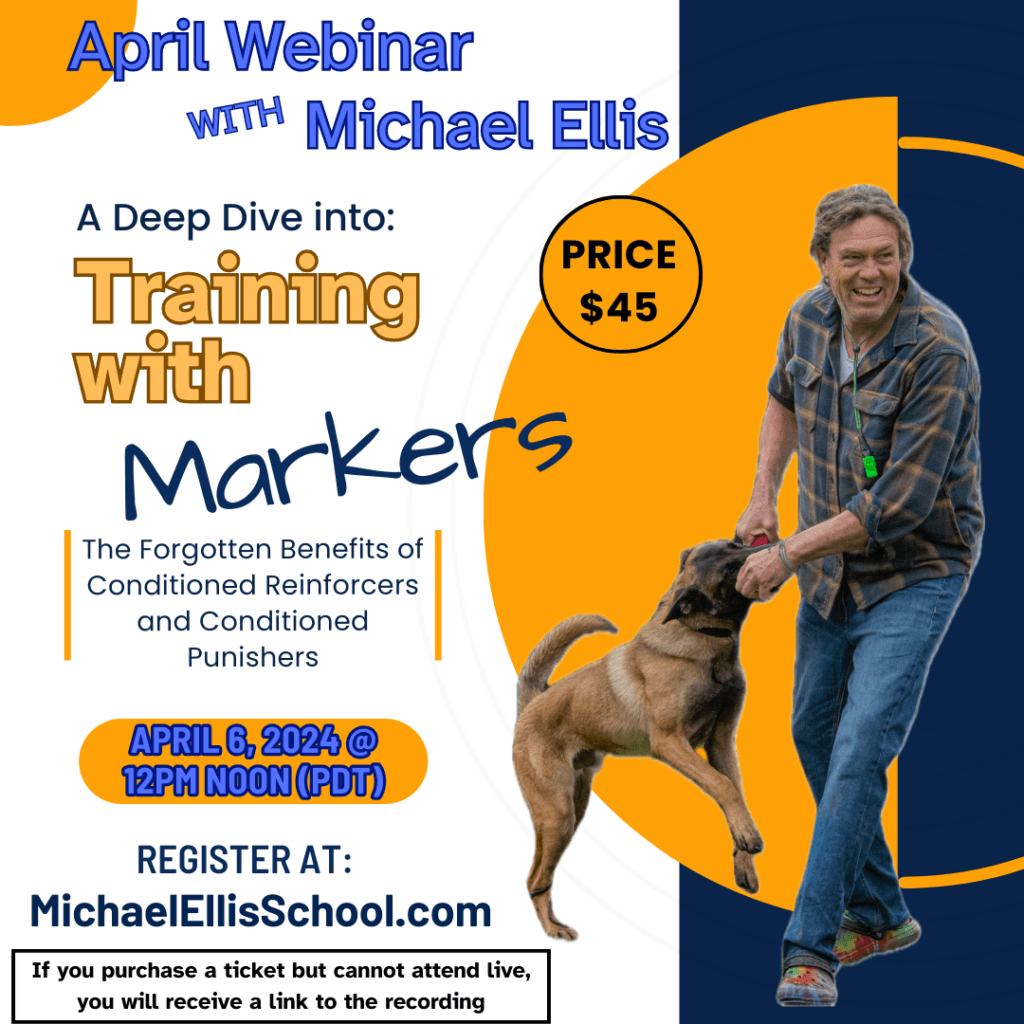 Webinars - Michael Ellis School