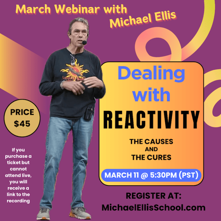 Webinars - Michael Ellis School
