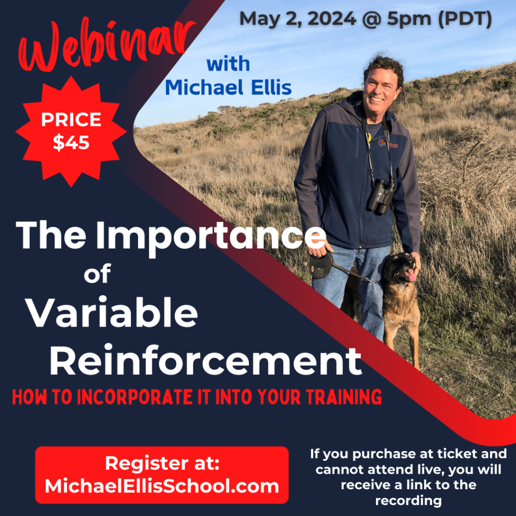 Webinars - Michael Ellis School