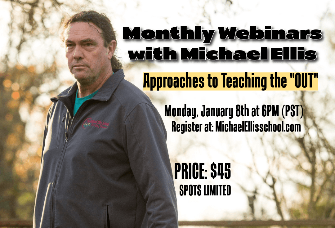 Webinars - Michael Ellis School