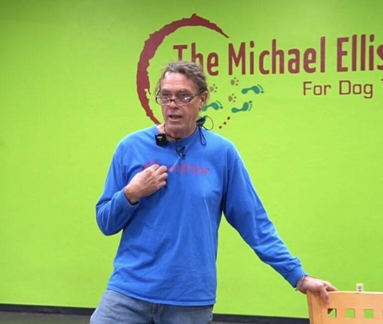The Michael Ellis School for Dog Trainers