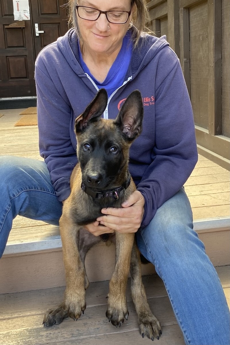 Michael's Training - Michael Ellis School