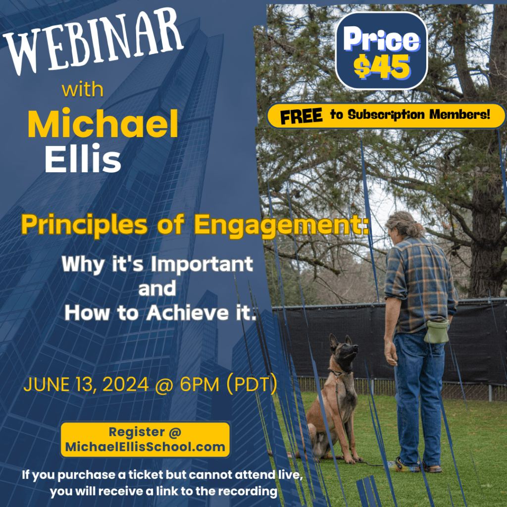 Webinars - Michael Ellis School