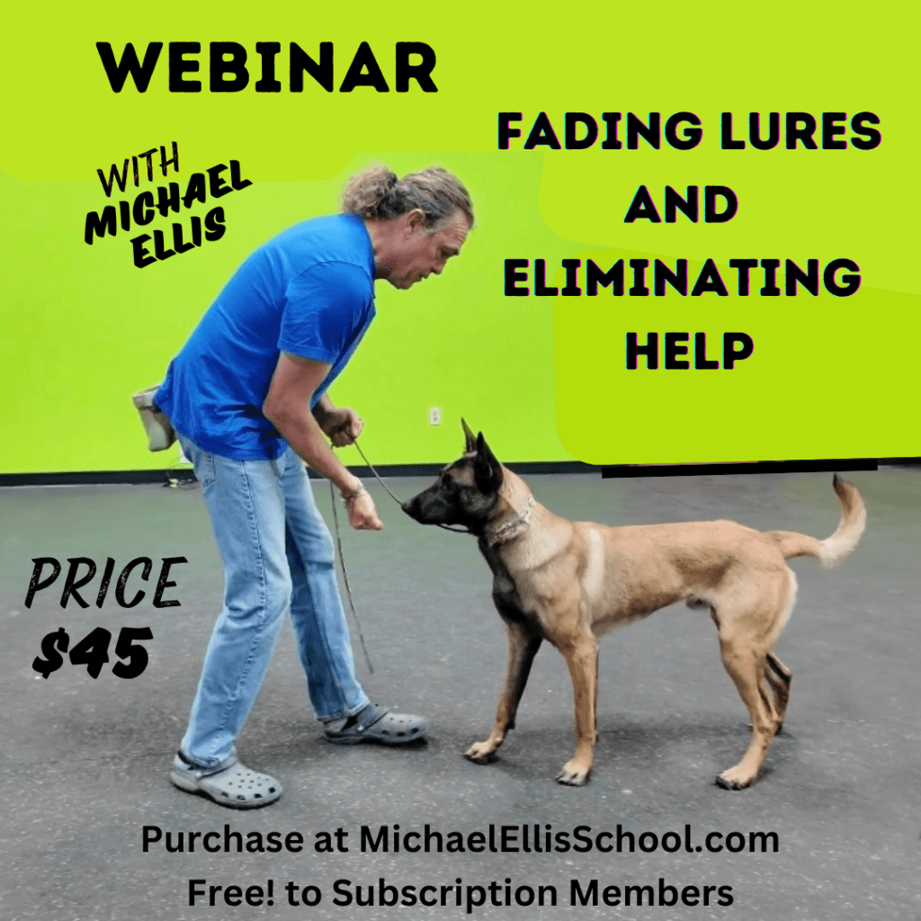 Webinars - Michael Ellis School