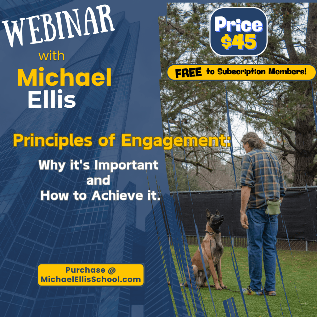 Webinars - Michael Ellis School