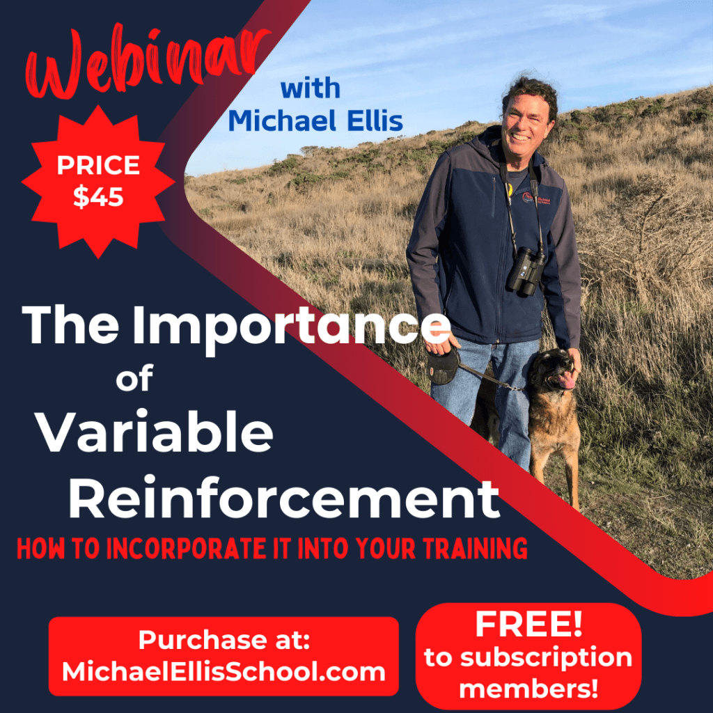 Webinars - Michael Ellis School